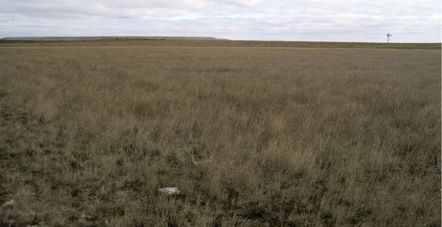 Ecological Sites of North Dakota | NDSU Agriculture